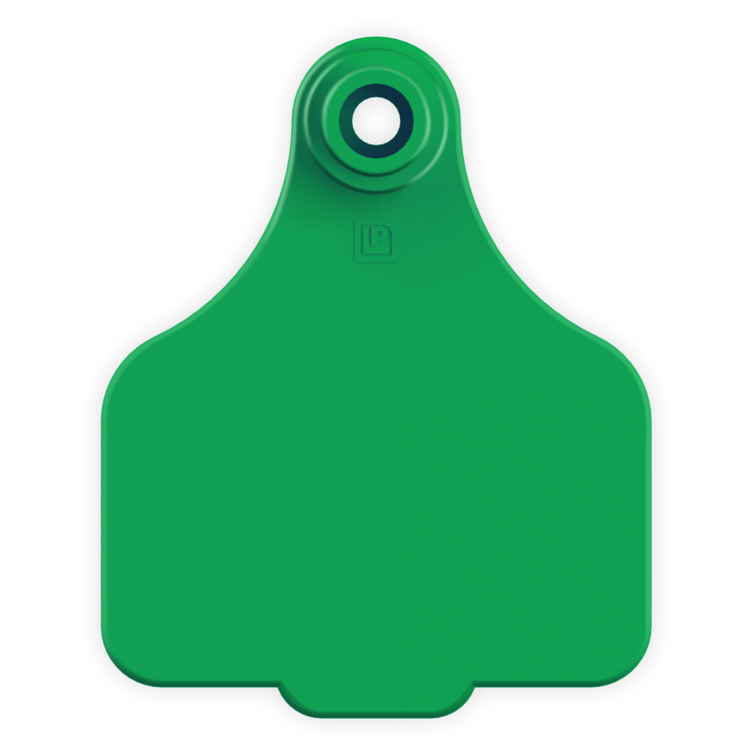 All Products – Custom Tag