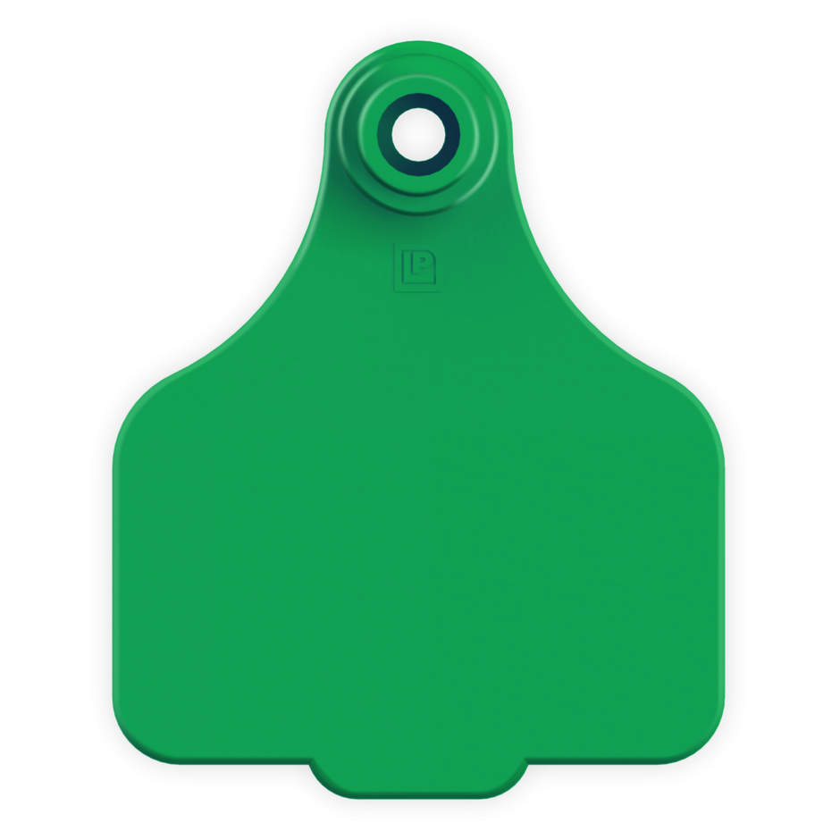 All Products – Custom Tag