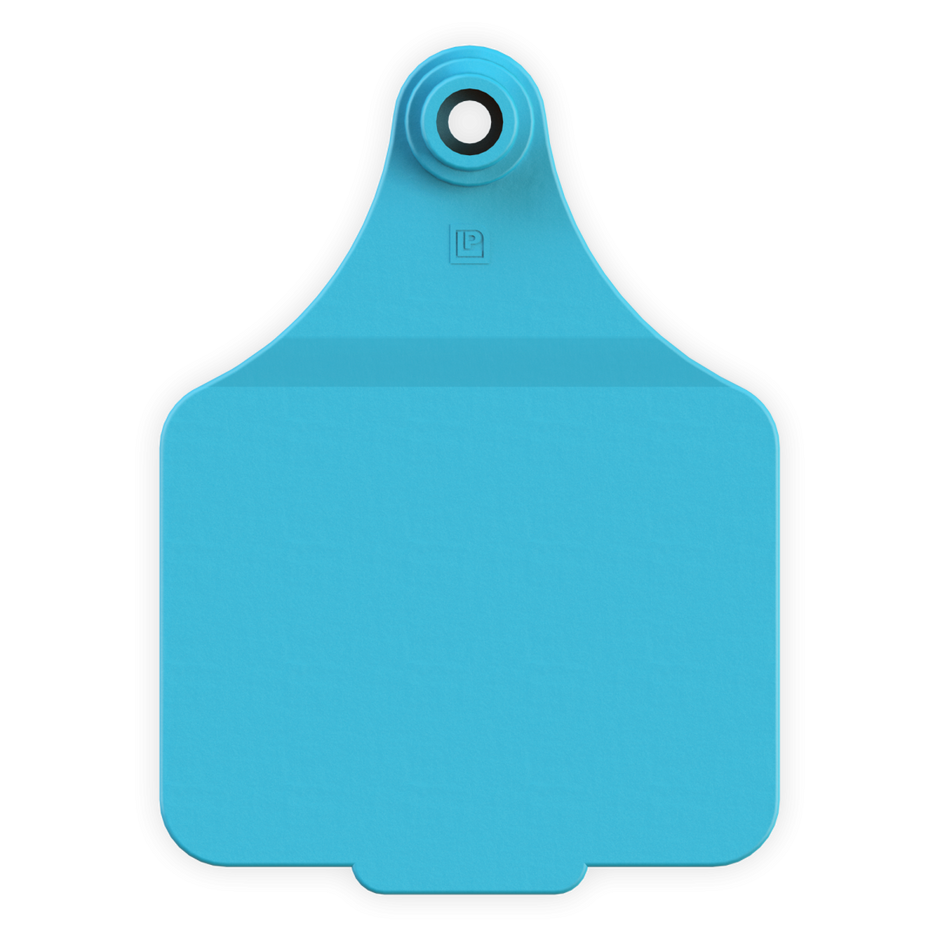 Design it yourself! – Custom Tag